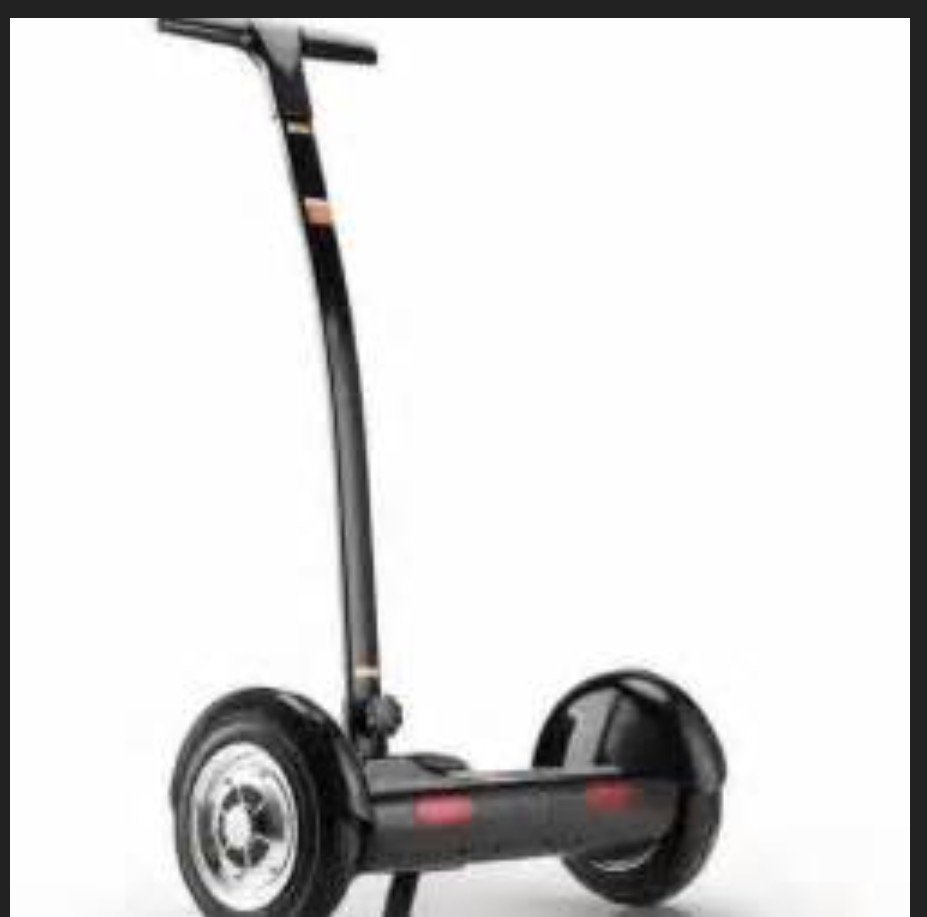 ninebot mini Segway - Royal Caribbean Discussion - Royal Caribbean Blog