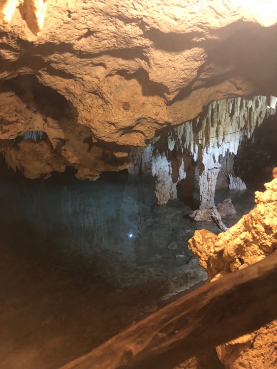 Cozumel- Underground Mayan River Cenote - Shore Excursions - Royal ...