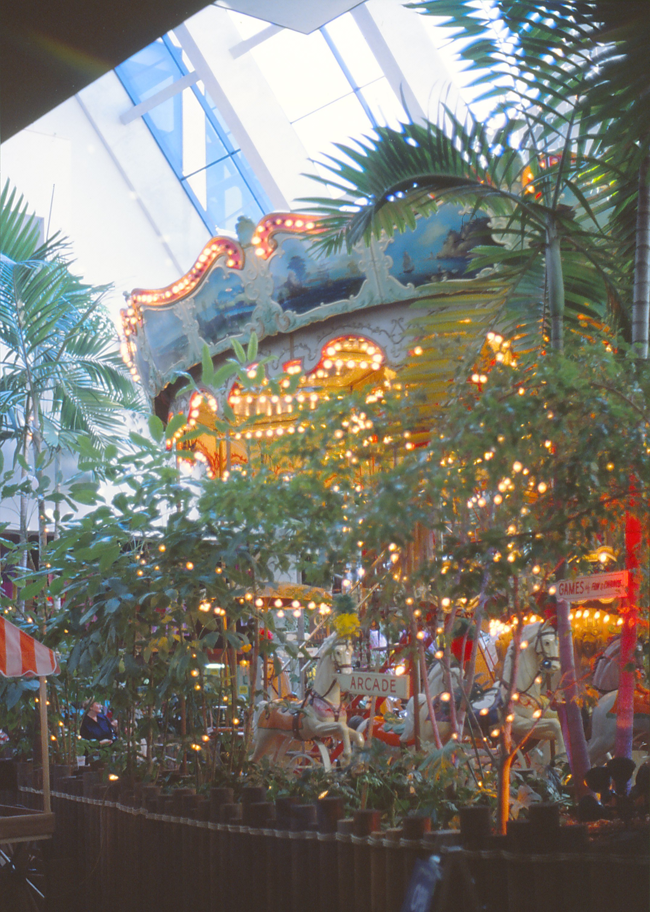 Nordic Prince & Song of Norway 1970's photogaphs - help needed. - Royal ...