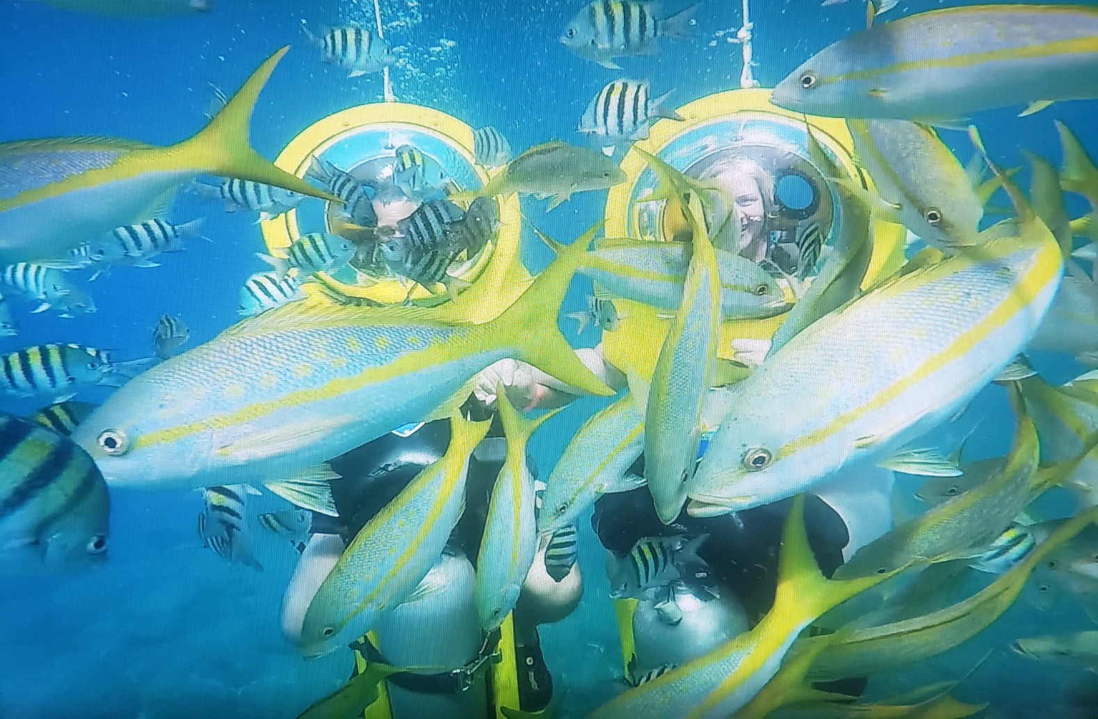 BOSS Underwater Adventure in St Thomas? - Shore Excursions - Royal ...