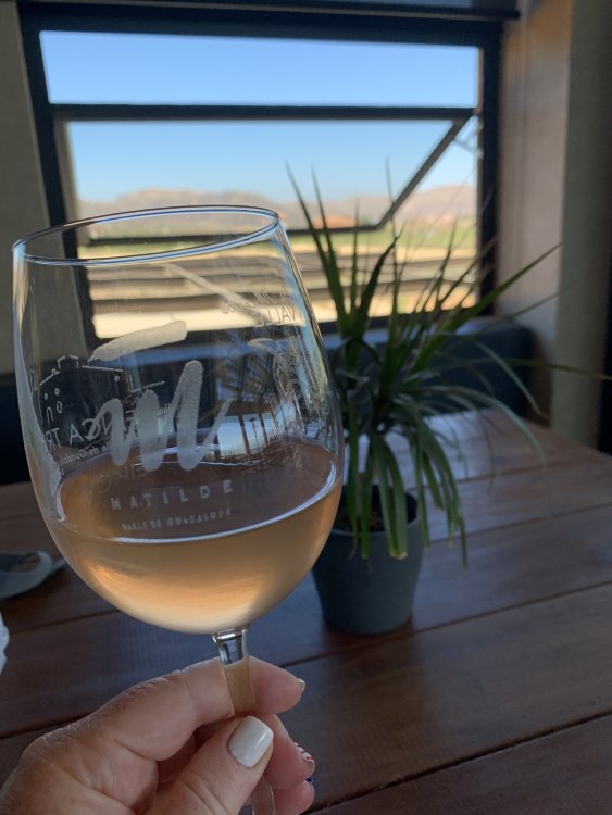 Calafia Wine Country Tour in Ensenada Review July 2022 - Shore ...