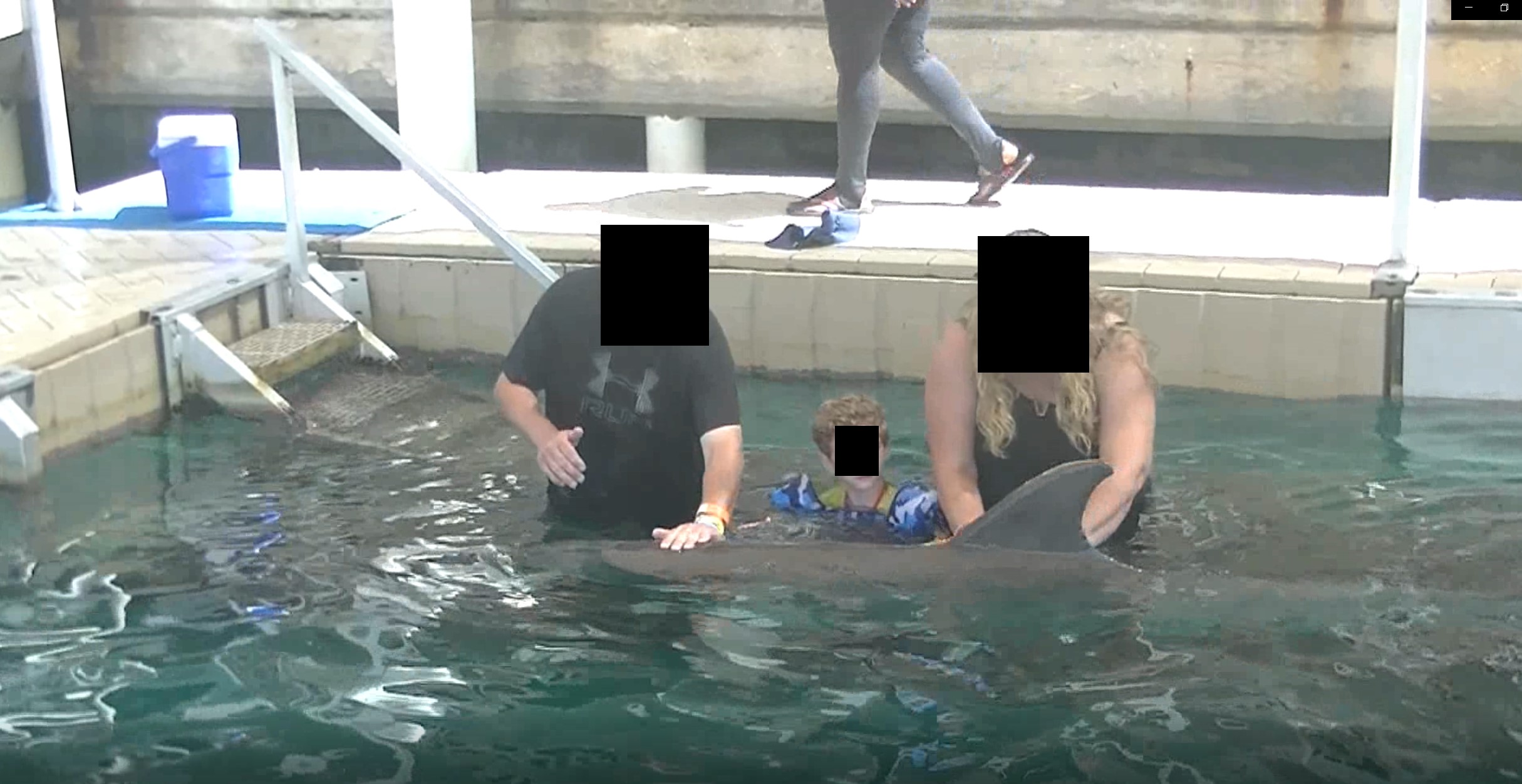 Blue Lagoon Island Dolphin Encounter for 5 yr old???? - Shore ...