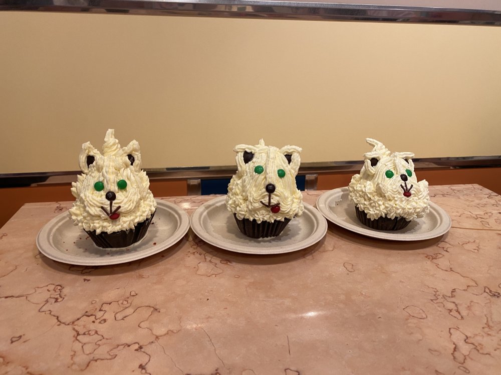 Sprinkle Time Cupcake Decorating Class - Royal Caribbean Discussion ...