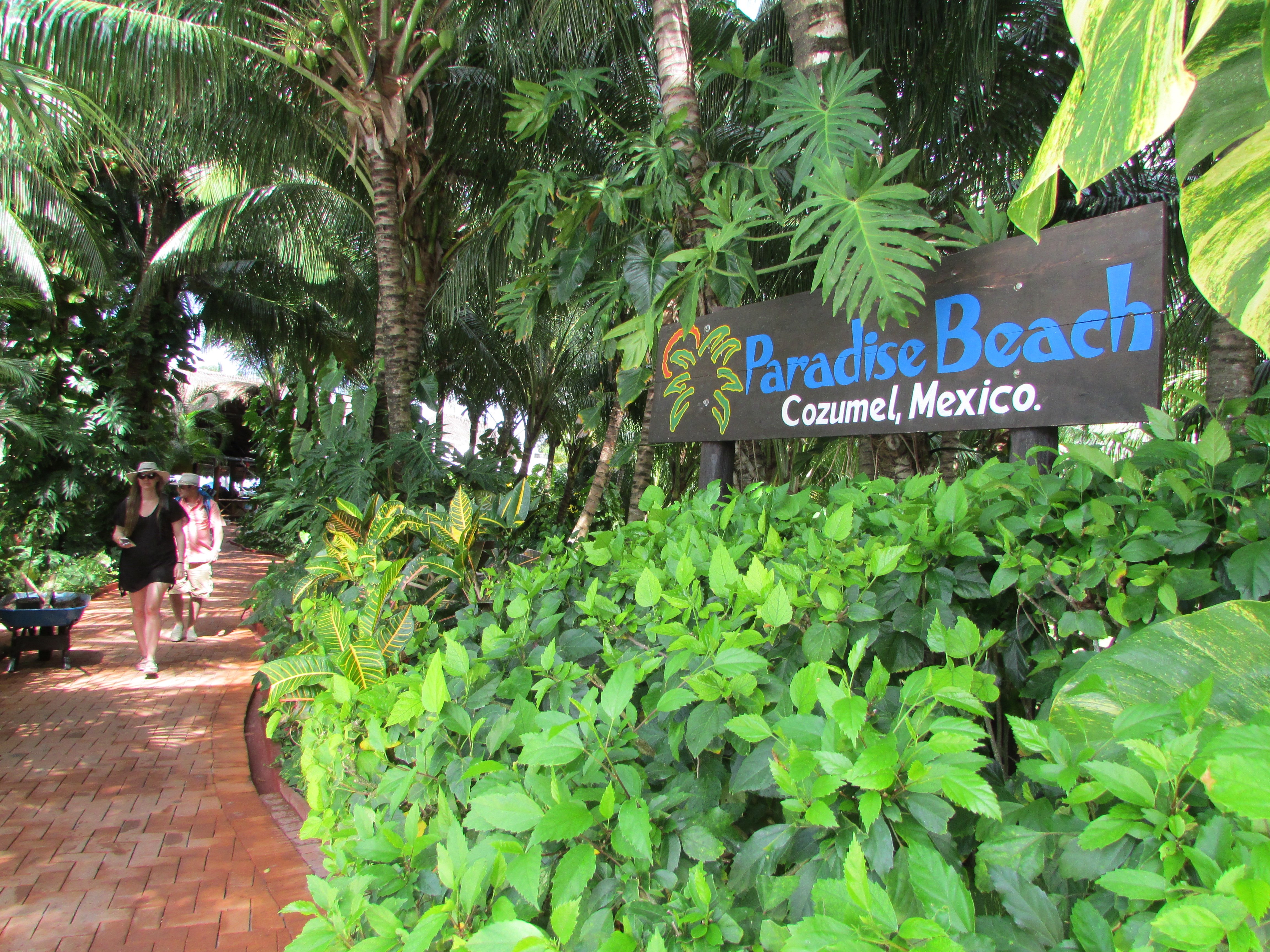 Nachi Cocom, Mr. Sanchos or Paradise Beach - Shore Excursions - Royal ...