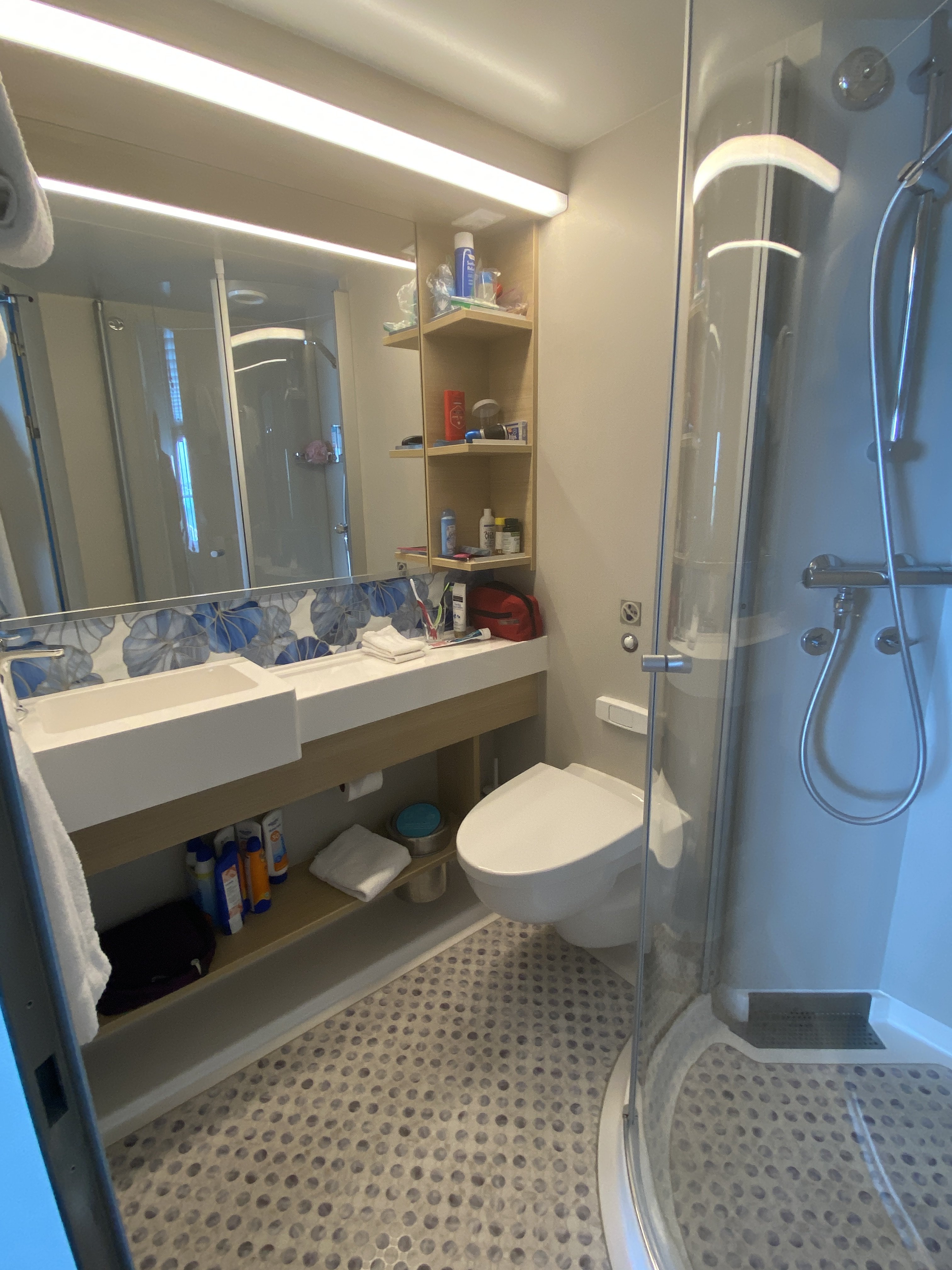 Wonder shower stall size - Royal Caribbean Discussion - Royal Caribbean ...
