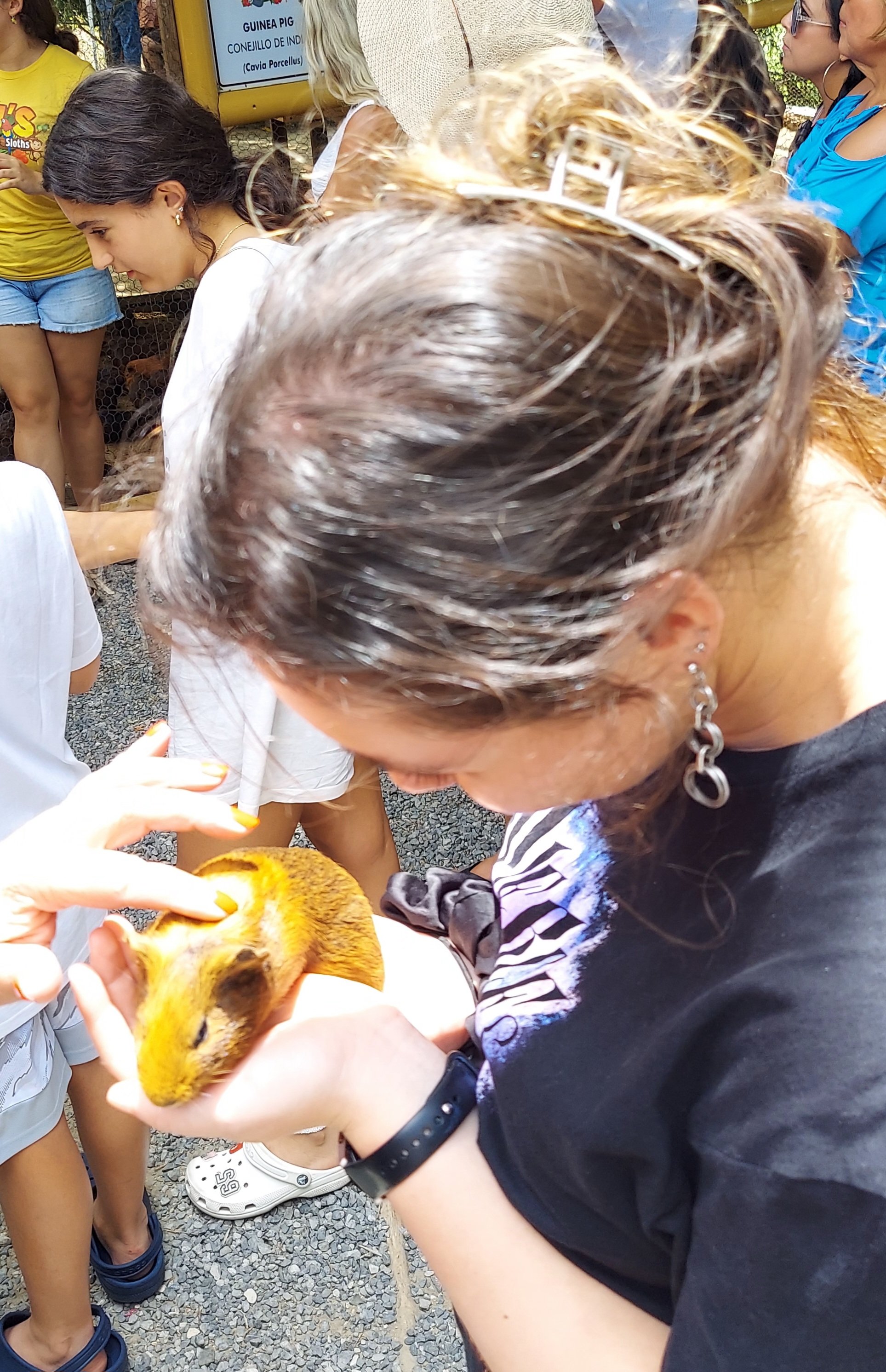 Roatan sloth excursion - Shore Excursions - Royal Caribbean Blog