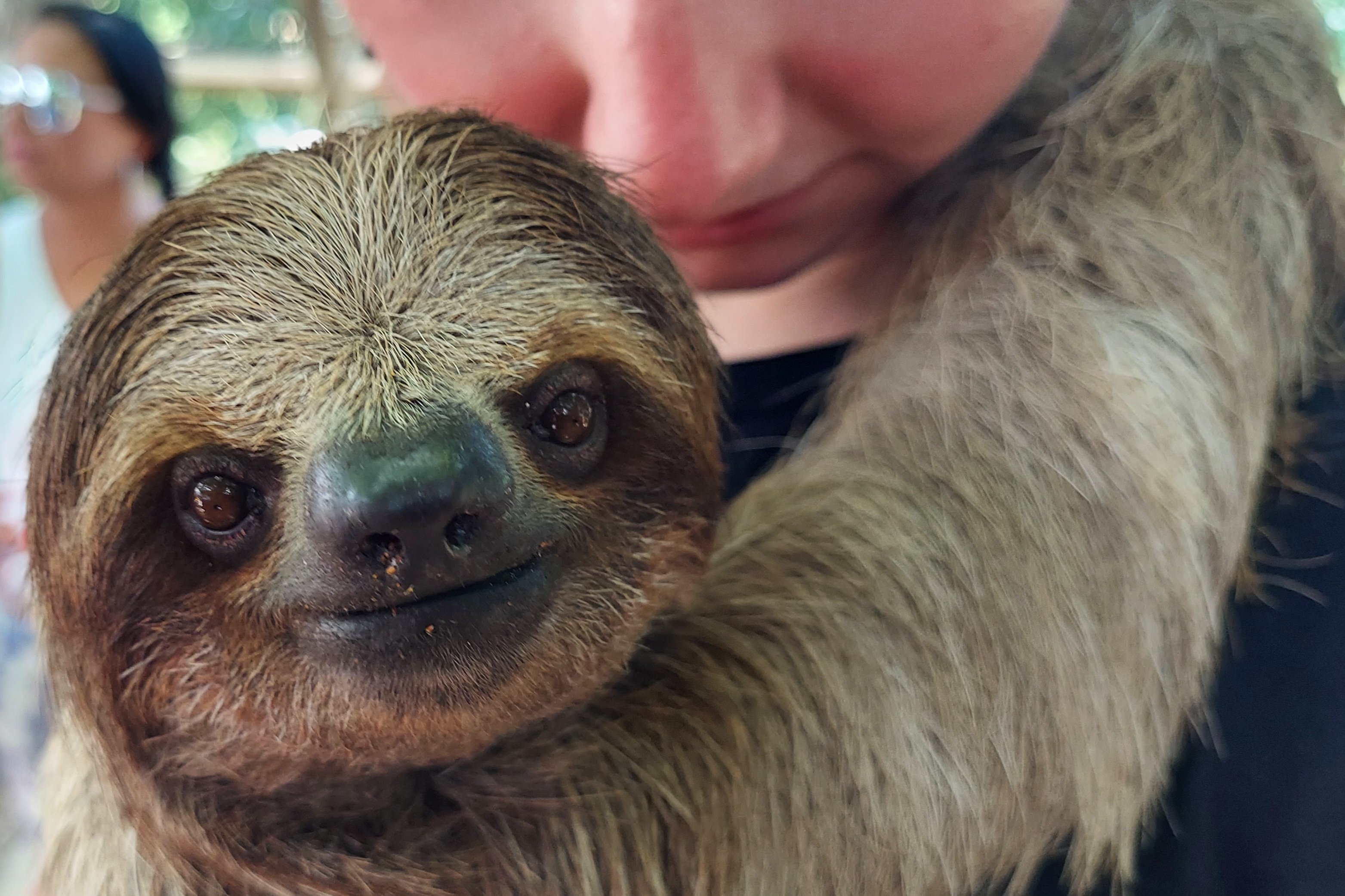 Roatan sloth excursion - Shore Excursions - Royal Caribbean Blog