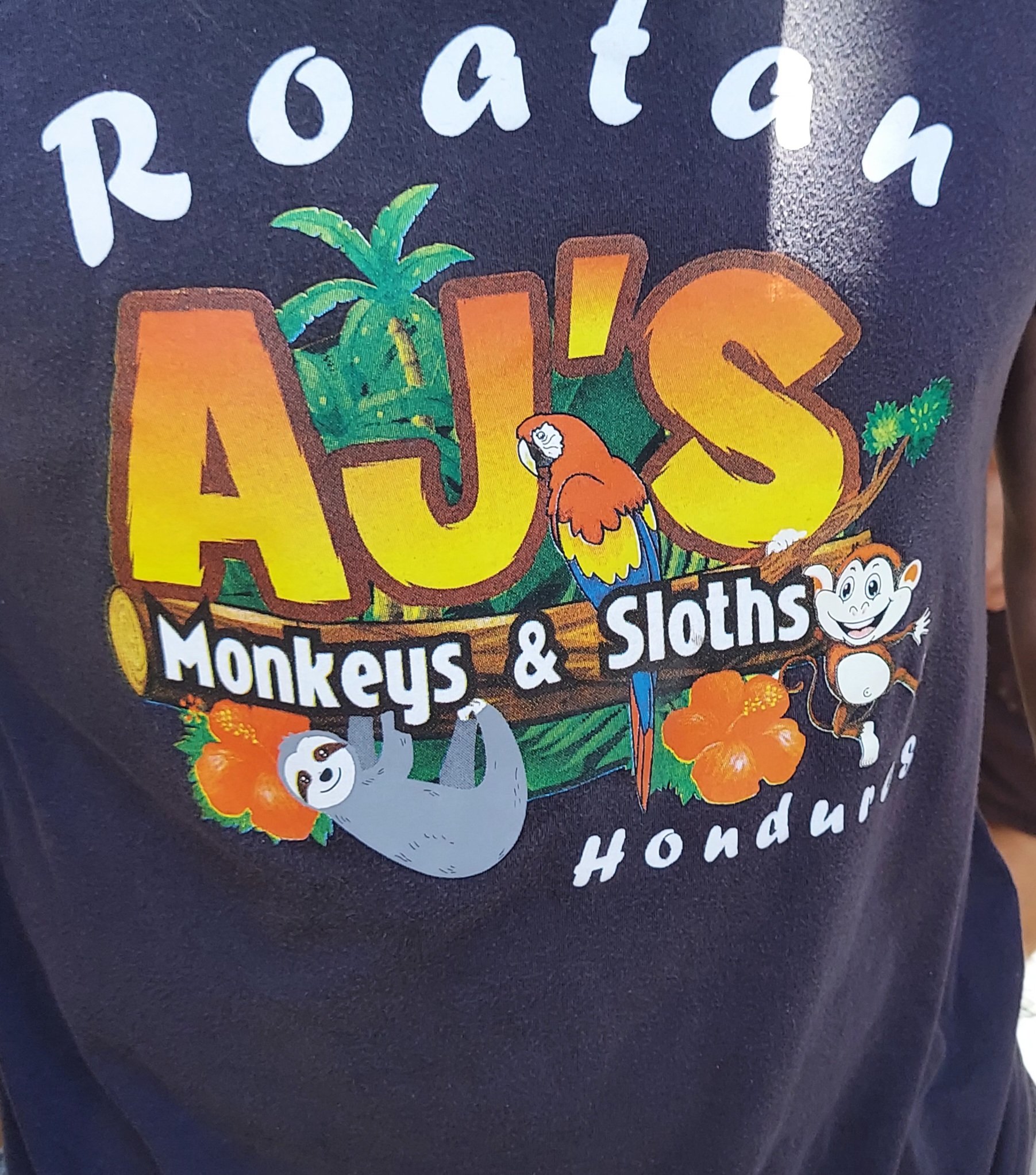 Roatan sloth excursion - Shore Excursions - Royal Caribbean Blog
