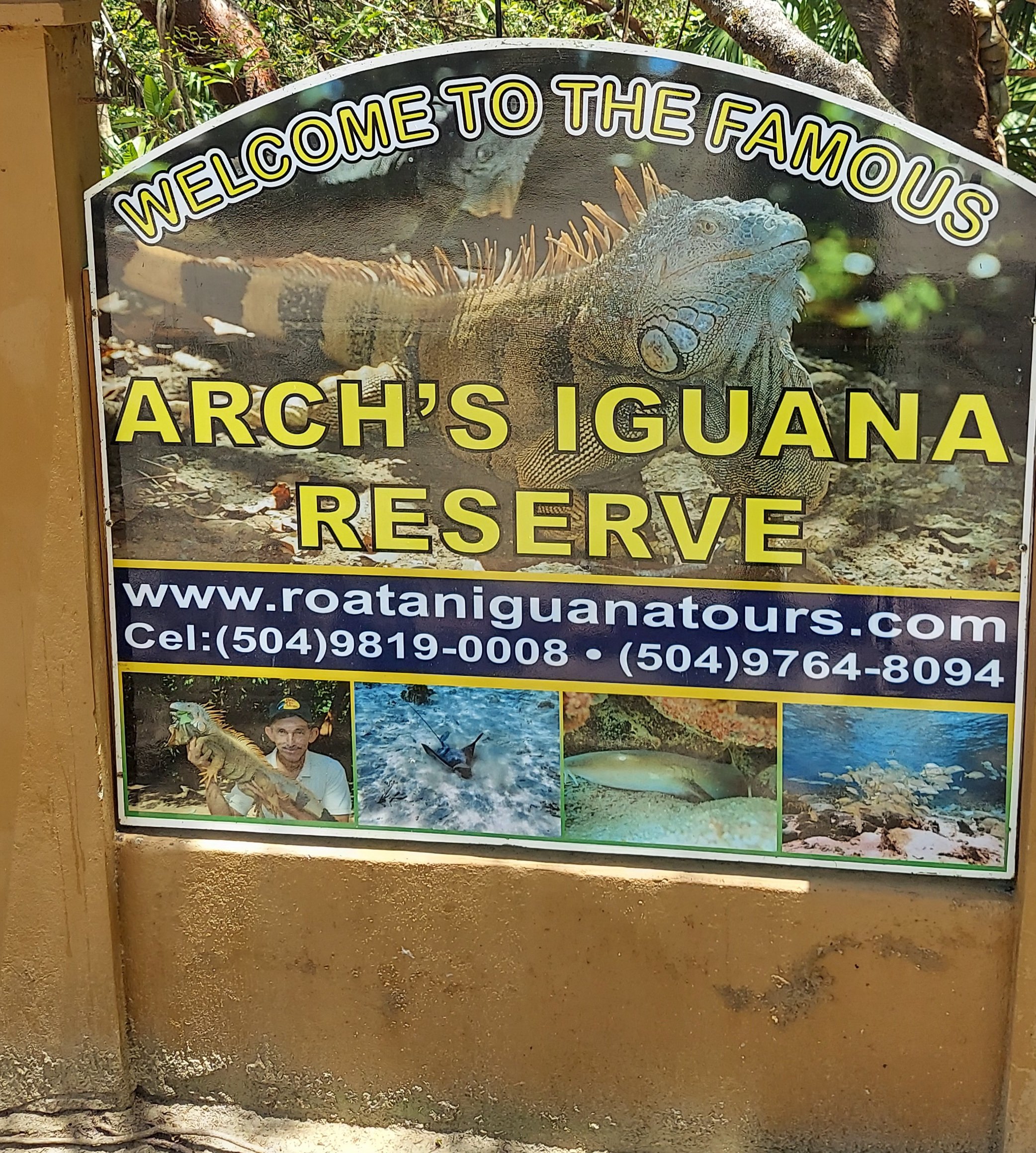 Roatan sloth excursion - Shore Excursions - Royal Caribbean Blog