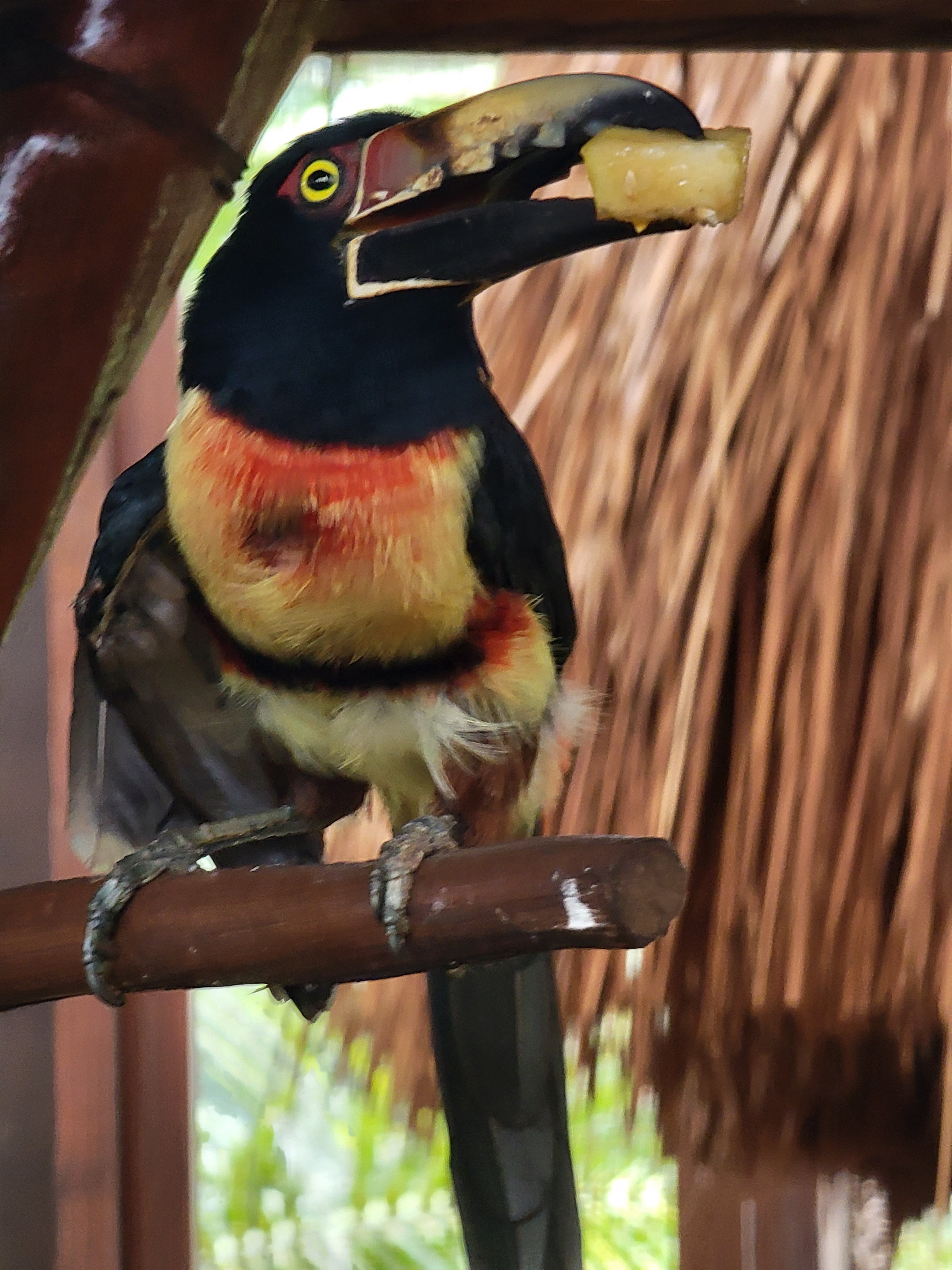 PDCC Twice, Our First B2B - Liberty OTS 10/31/23-11/10/23 - Page 4 ...