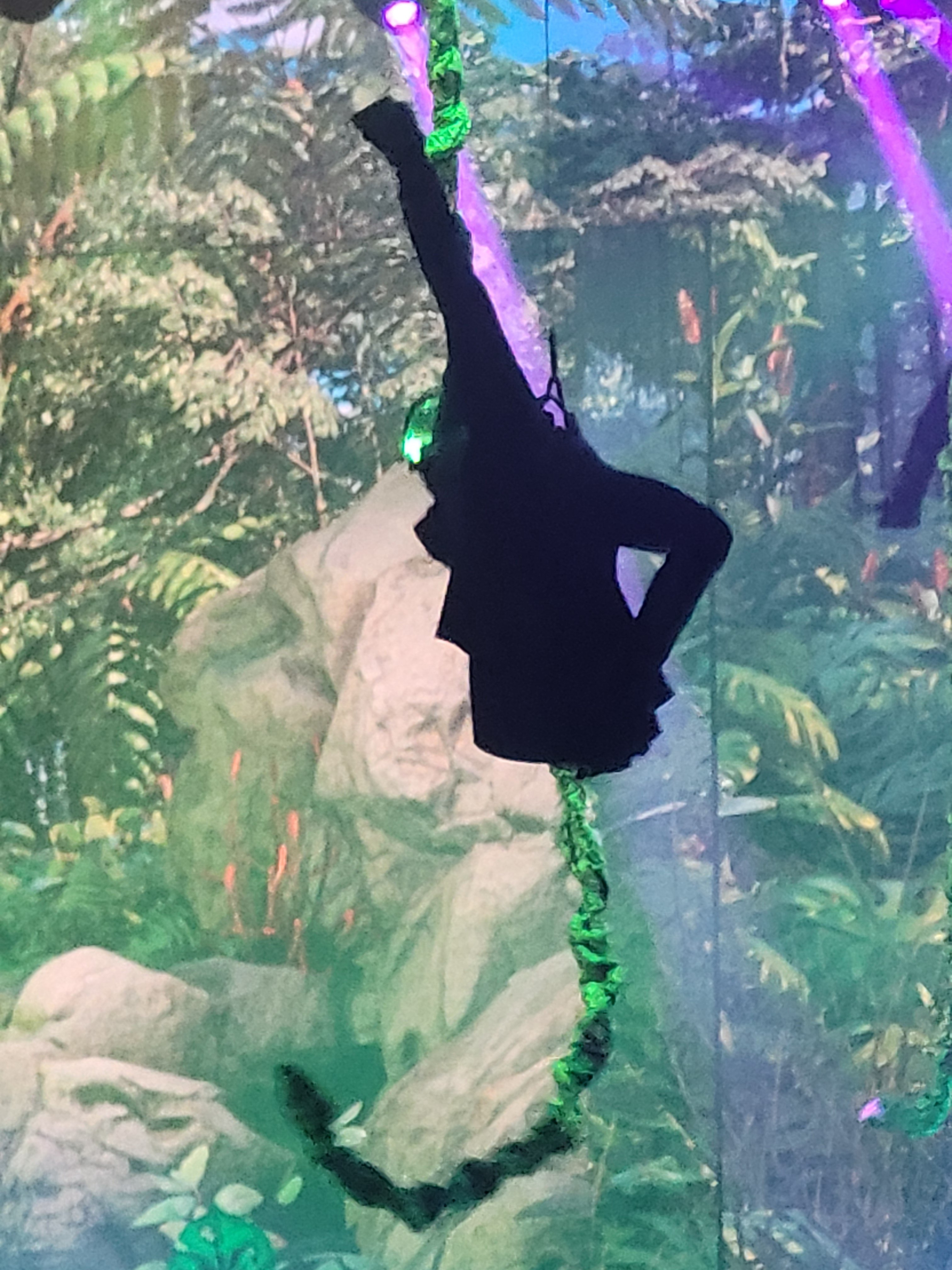 3. 2. 1……Does a Mariner Wonder the Allure of Cruising 1/15/24-2/2/24 - Page 9 - Live Blogs ...