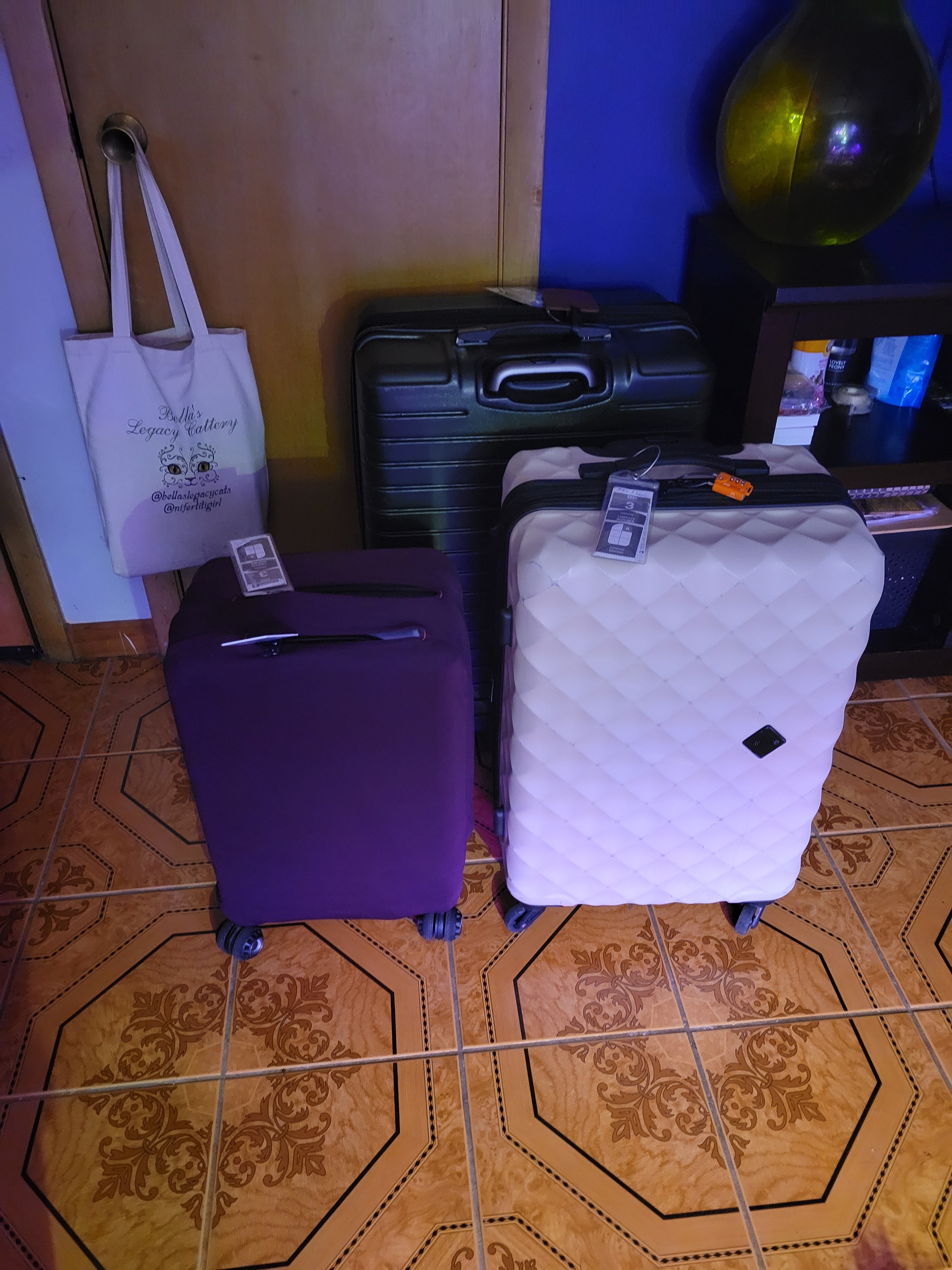 Freedom to be 39!! A B3B 5/13/24-5/24/24 - Page 3 - Live Blogs - Royal Caribbean Blog