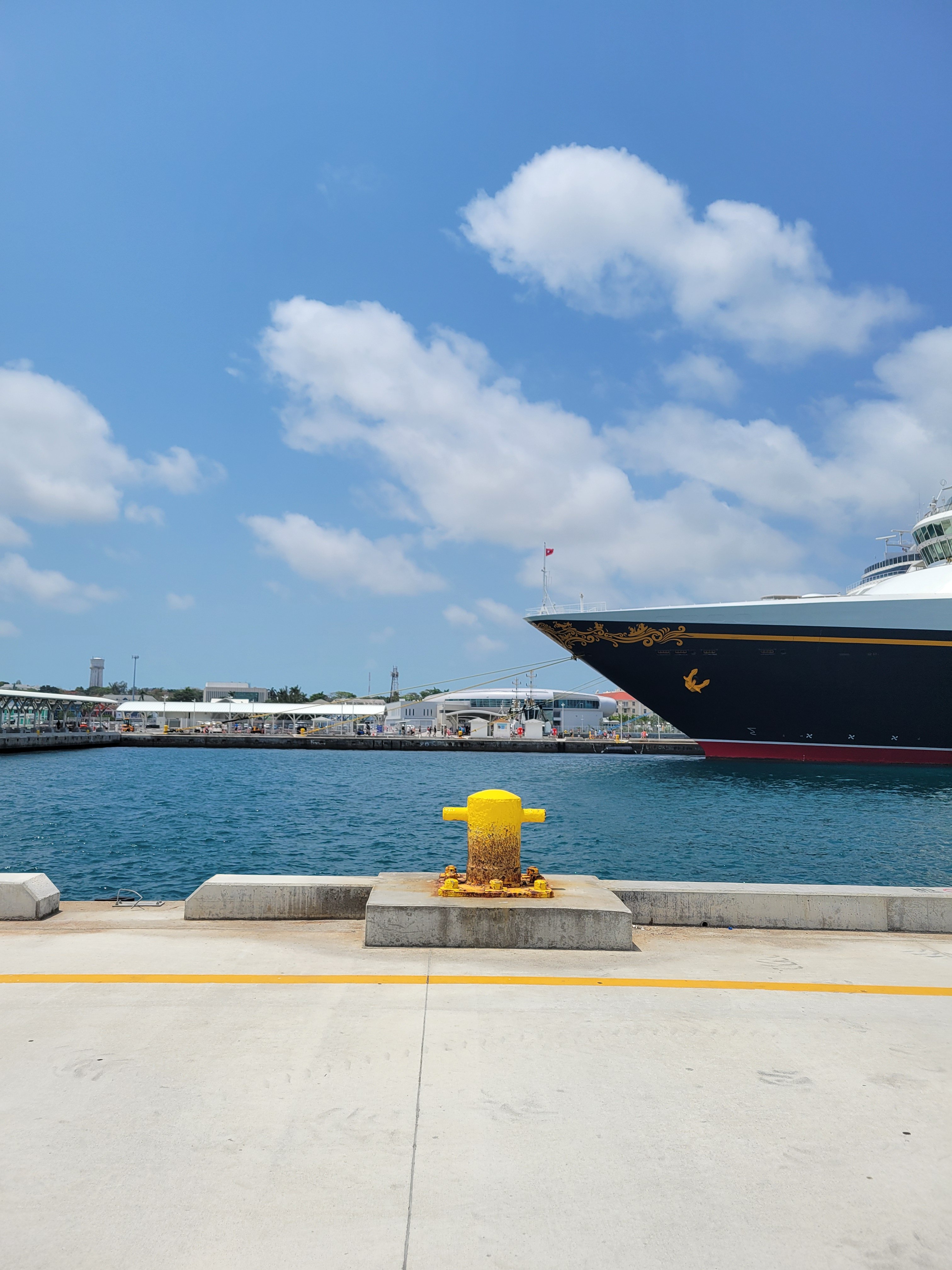 Freedom to be 39!! A B3B 5/13/24-5/24/24 - Page 4 - Live Blogs - Royal Caribbean Blog