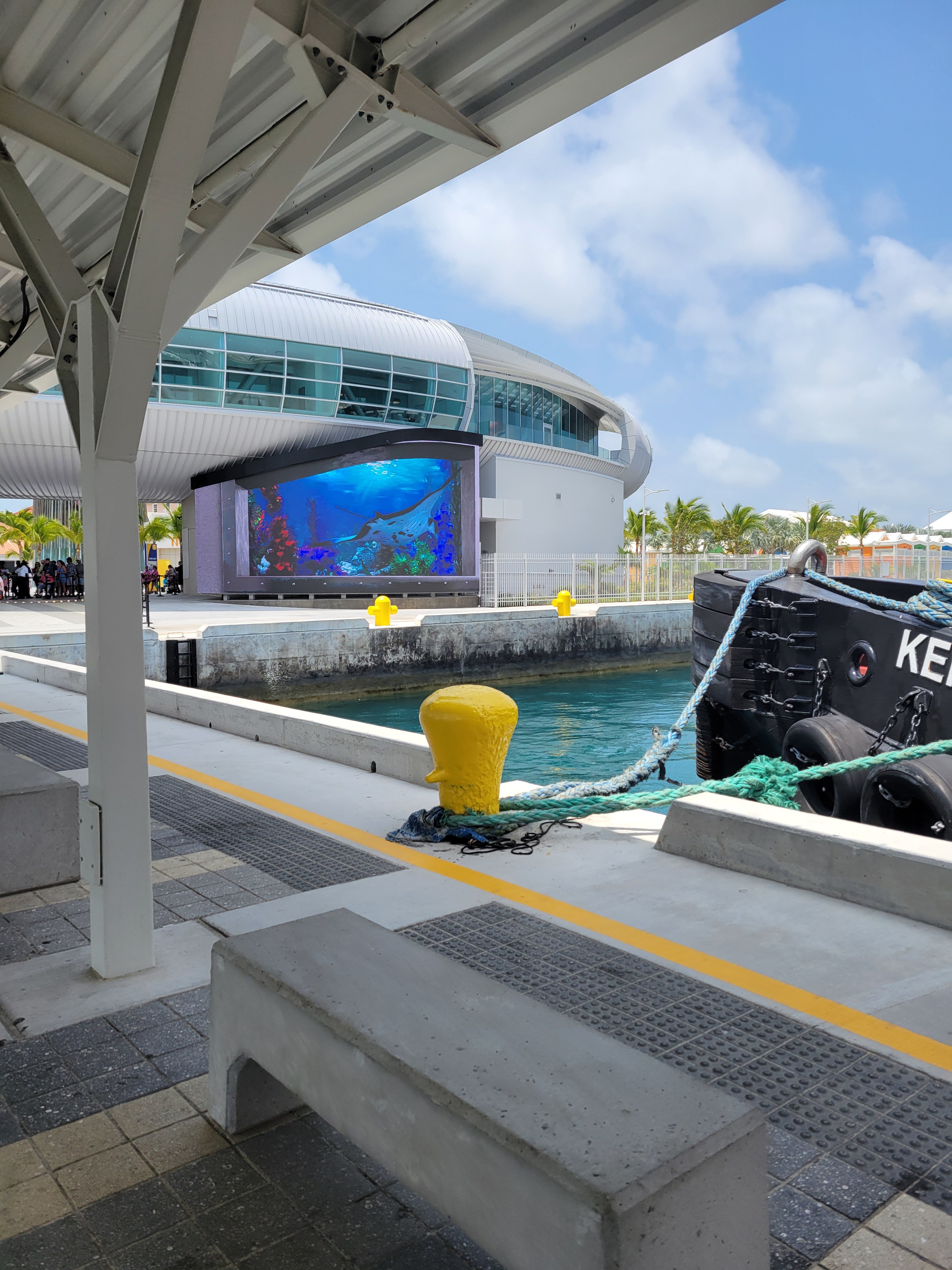 Freedom to be 39!! A B3B 5/13/24-5/24/24 - Page 4 - Live Blogs - Royal Caribbean Blog