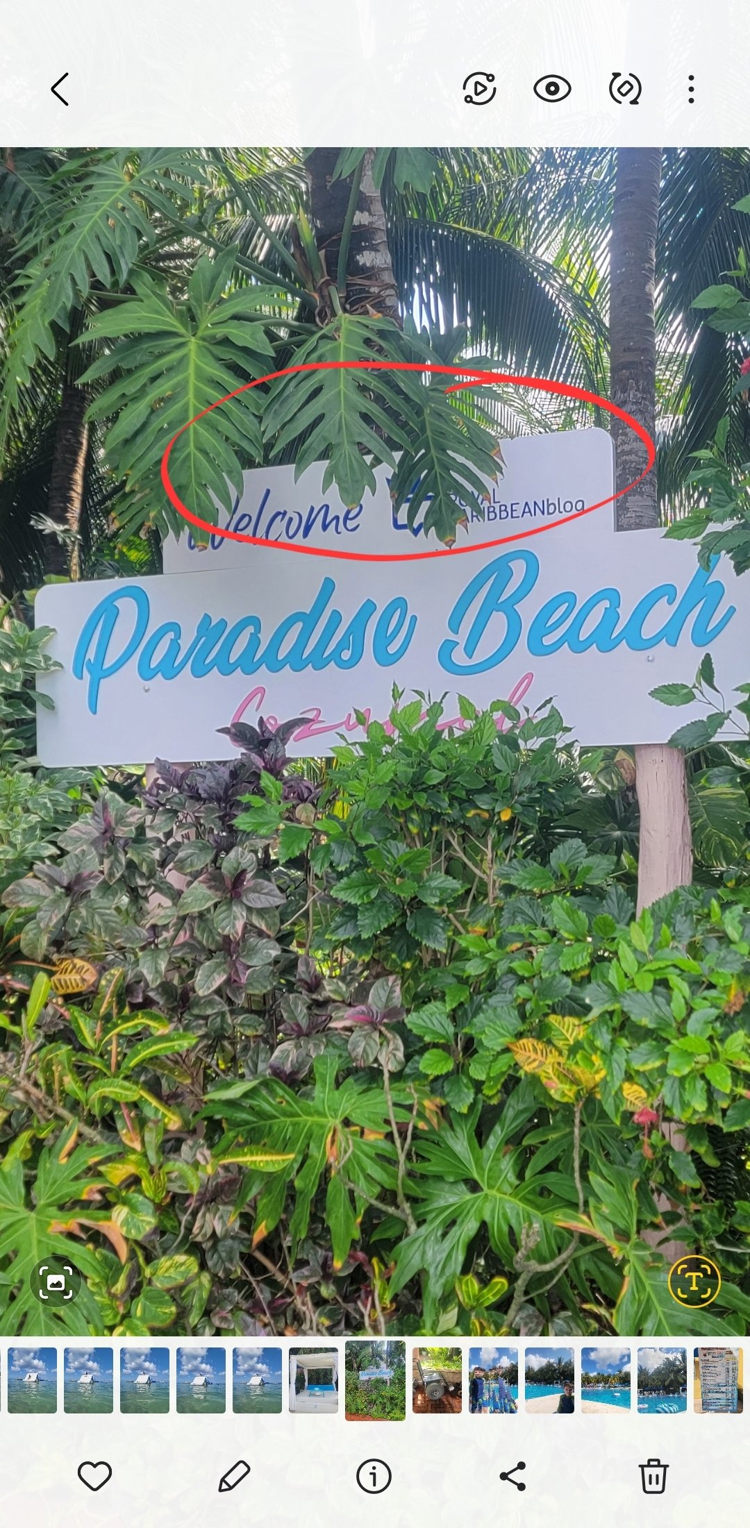 Didn't Love Nachi Cocom... May Try Paradise Beach Next - Page 2 - Shore ...