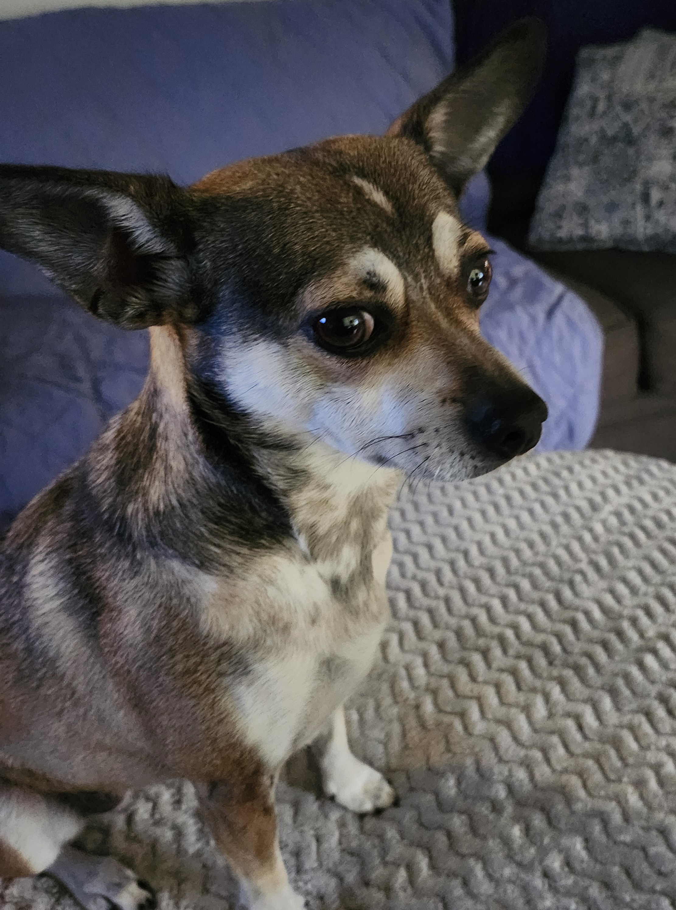 Roll Out the "Beryl" We're Going to Have a Barrel of Fun - Harmony July ...