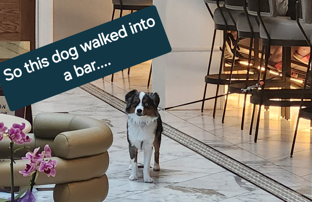 Roll Out the "Beryl" We're Going to Have a Barrel of Fun - Harmony July ...