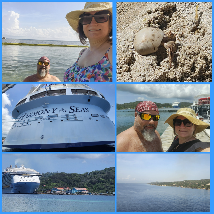 Roll Out the "Beryl" We're Going to Have a Barrel of Fun - Harmony July ...