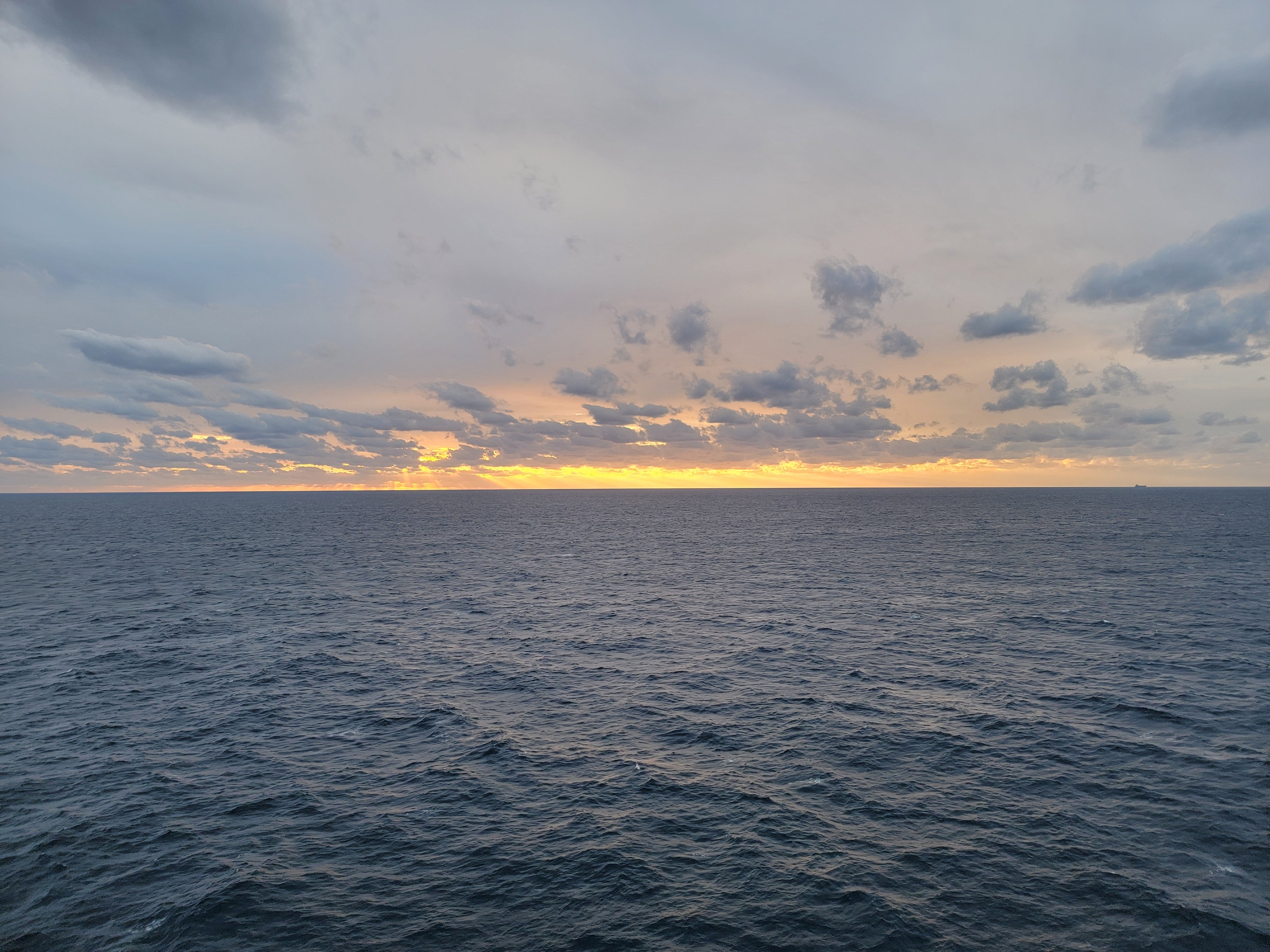 Guarantee-d To Have a Suite Time - 11/30/2024, Mariner 5 Day - Page 2 - Live Blogs - Royal ...