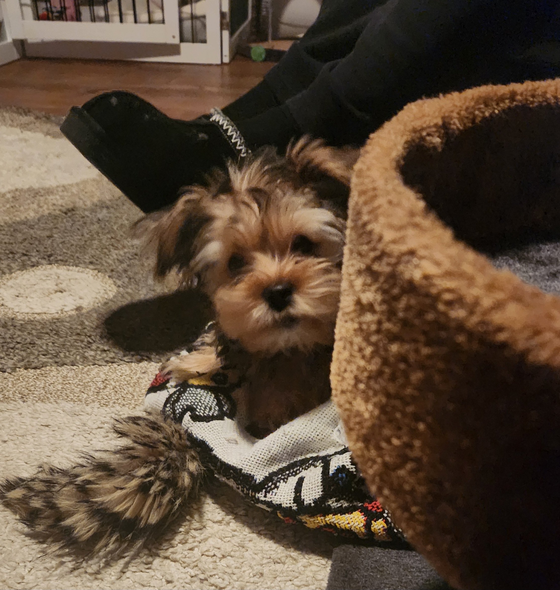 an ascent into a new era ~ 2.2-2.9 (celebrity ascent) - Page 7 - Live Blogs - Royal Caribbean Blog