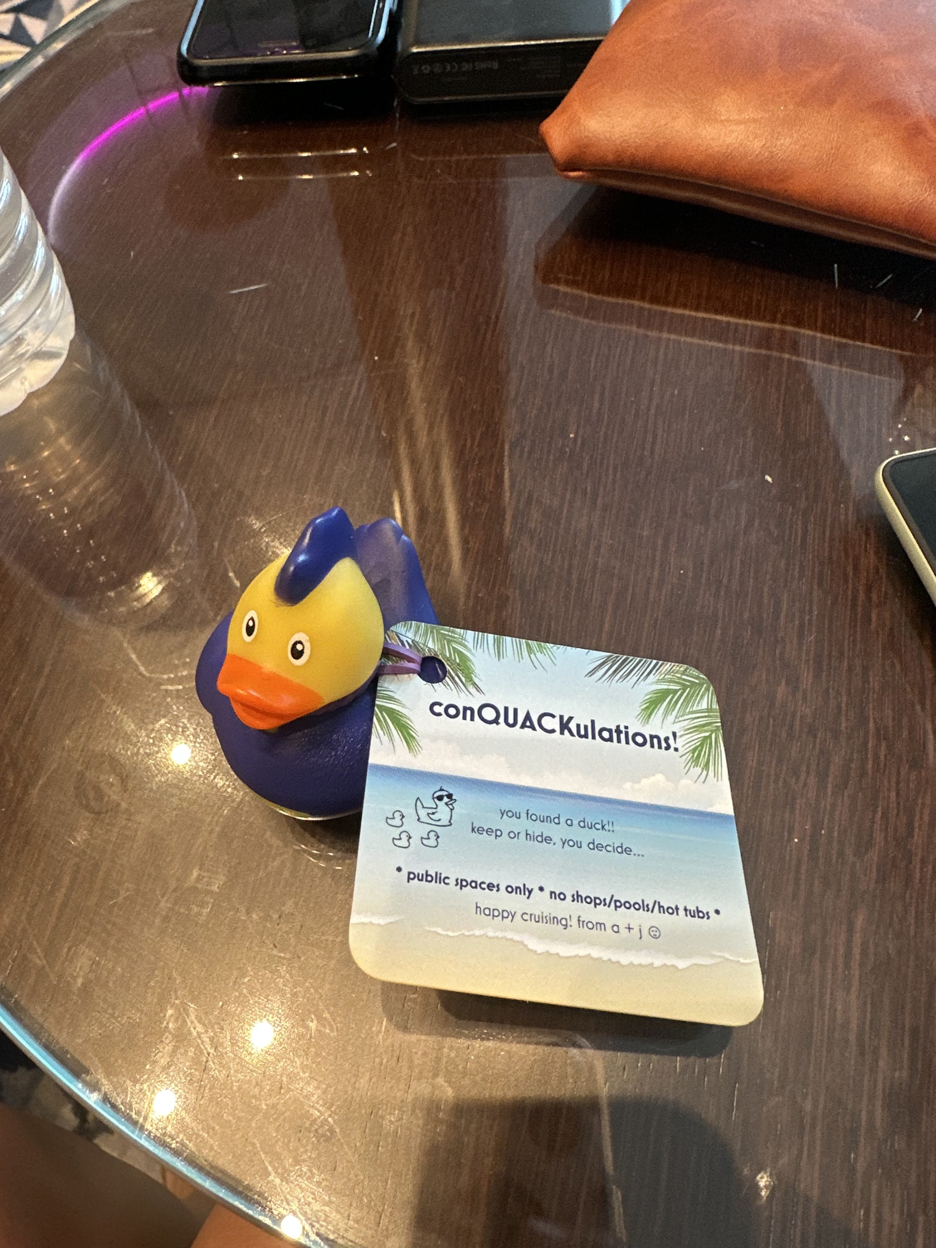 Any tips for hiding ducks? - Royal Caribbean Discussion - Royal ...