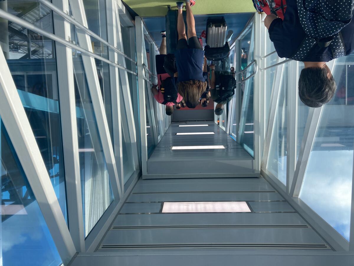 Debarkation Process on a Royal Caribbean Ship | Royal Caribbean Blog