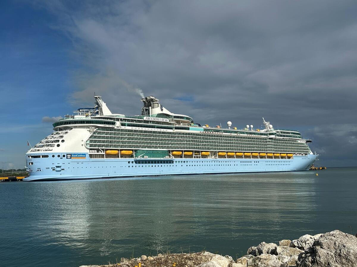 Freedom of the Seas Review: Why This Cruise Ship Is The Best Value Now ...